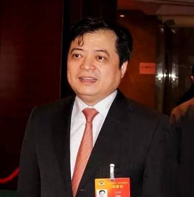 全国政协常委南存辉建言新能源与民间投资 新浪财经 新浪网
