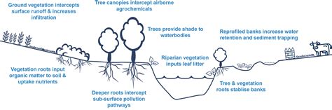 3d Buffer Zones Helping Farmers In Scotland Farm Advisory Service