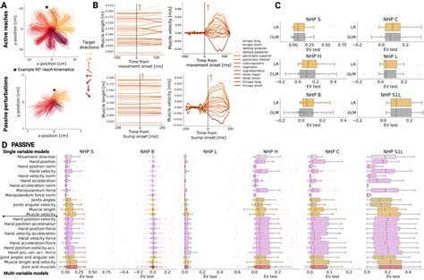 Task Driven Neural Network Models Predict Neural Dynamics Of