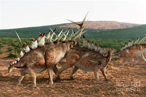 Kentrosaurus Dinosaurs Photograph By Jose Antonio Pećasscience Photo