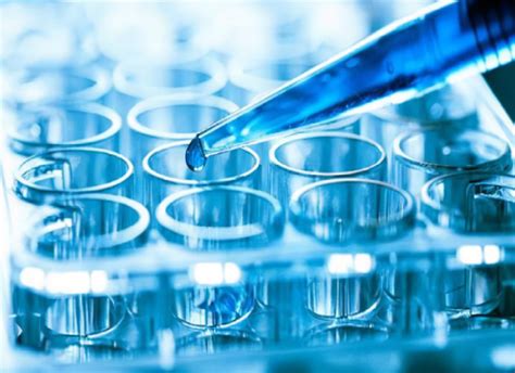 三维细胞培养技术突破之卵巢癌原代细胞 知乎