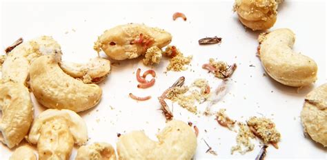 Solving The Headache Of A Foreign Object Facts Page