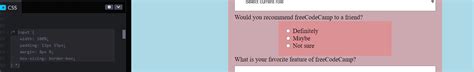 Build A Survey Form Drop Down And Radio Text Alignment Html Css The Freecodecamp Forum
