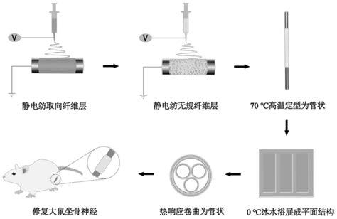 一种多通道神经导管及其制备方法