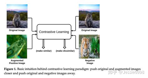 Contrastive Learning 综述 ‘a Survey On Contrastive Self Supervised Learning 知乎