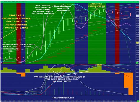 Chart Of Gold Federal Reserve Interest Rate Hike Number One Investment Newsletter