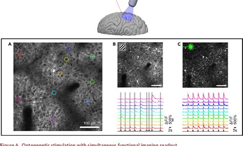 Figure 6 From Large Scale Multimodal Surface Neural Interfaces For Primates Semantic Scholar
