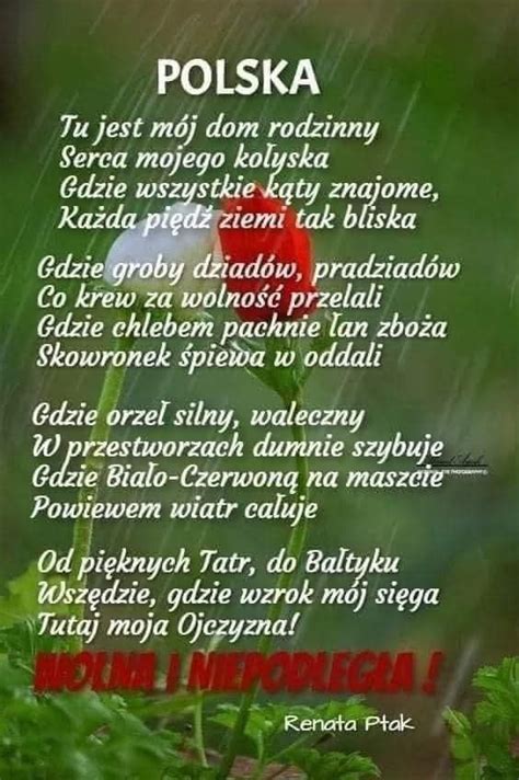 Pin Di Marysiaskwarczek Su Cytaty Vignette