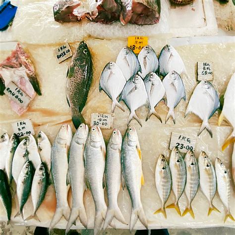 How To Think Like A Bayesian Psyche Guides