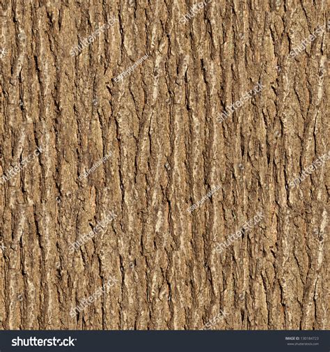 586 636 Seamless Tree Texture Images Stock Photos Vectors Shutterstock