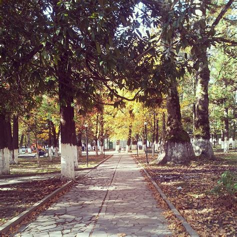 ხონელები