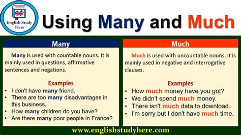 Using Many And Much In English English Study English Grammar