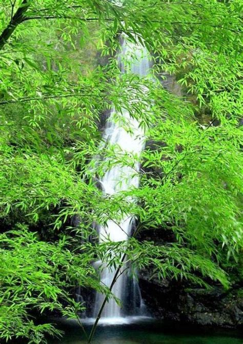 04布ヶ滝熊本県球磨村 しぶきの滝ブログ