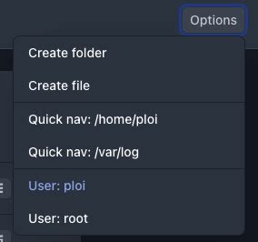 File Explorer Improvements Delete Edit Files And Permissions Ploi Roadmap