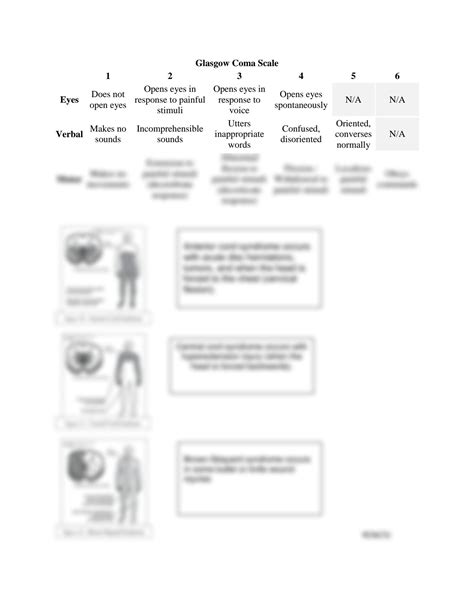 SOLUTION Glasgow Coma Scale Studypool