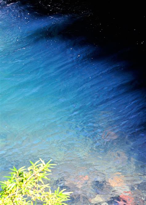 渓流に光芒 GANREF
