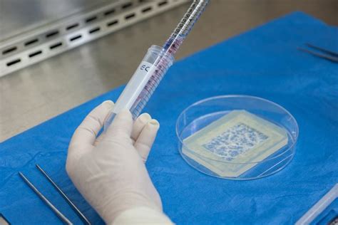 Lab Grown Body Parts Possible With Tissue Engineering