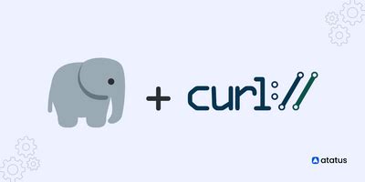 Useful CURL Commands That You Should Know