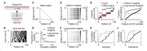 Sparsity And Selectivity In A Simple Neuronal Network Model A Download Scientific Diagram