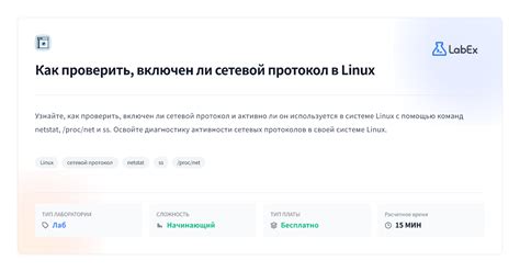 Как проверить включен ли сетевой протокол в Linux Labex