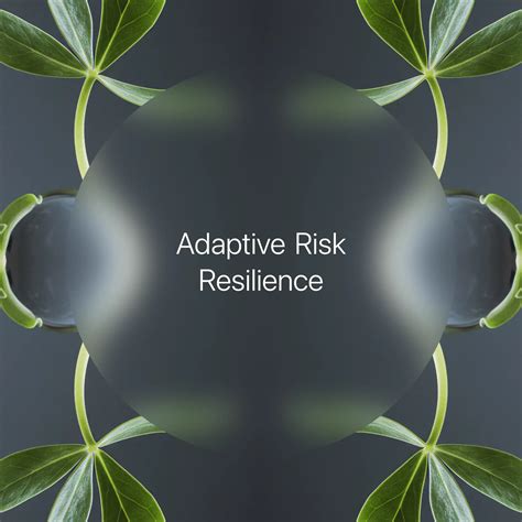 Adaptive Risk Resilience → Term