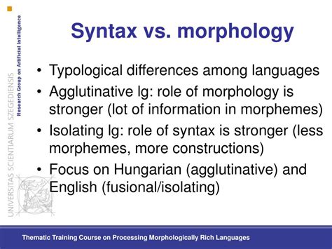 PPT The Syntax Morphology Interface And Natural Language Processing PowerPoint Presentation