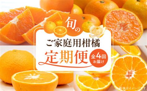 G60 T98 【発送月固定定期便】紀州和歌山産旬のご家庭用柑橘セット みかん・不知火・せとか・清見 全4回 和歌山県湯浅町｜ふるさとチョイス ふるさと納税サイト