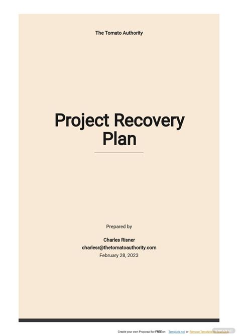 Project Recovery Plan Template In Black And White