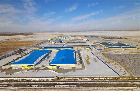 中粮家佳康 吉林 2021年重点项目法系种猪核心 工程案例 天津大鸿恒丰牧业科技有限公司 天津大鸿恒翔机械有限公司