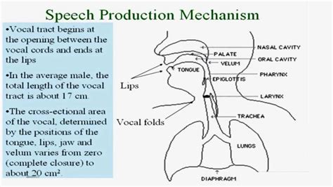 Speechsignalprocessing For Telecommunication Engineeringpptx