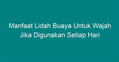 Manfaat Lidah Buaya Untuk Wajah Jika Digunakan Setiap Hari Geografid