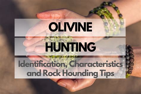 Olivine Hunting Identification Characteristics And Rock Hounding Tips Hounding Rocks