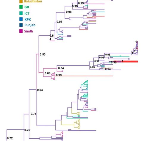 Reconstruction Of Phylogeographic Diffusion Of Fmdv Serotype A Viruses