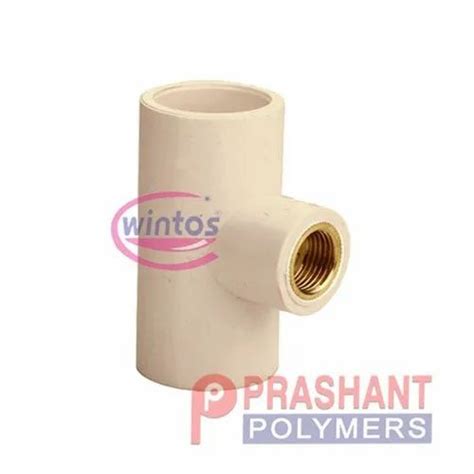 Wintos Wellgreen Cpvc And Brass Cpvc Reducer Tee At Rs 35 Piece In Rajkot