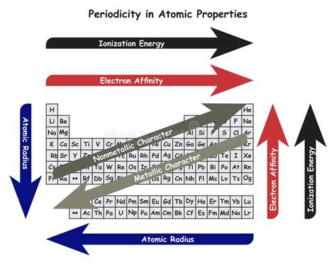 Periodicity In Atomic Properties Infographic Diagram Stock Vector Illustration Of Character