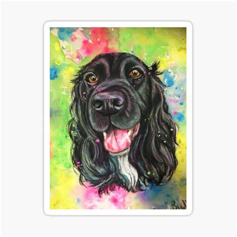 Black Cocker Spaniel Colourful Watercolour Background Sticker By Merlinsmates Redbubble