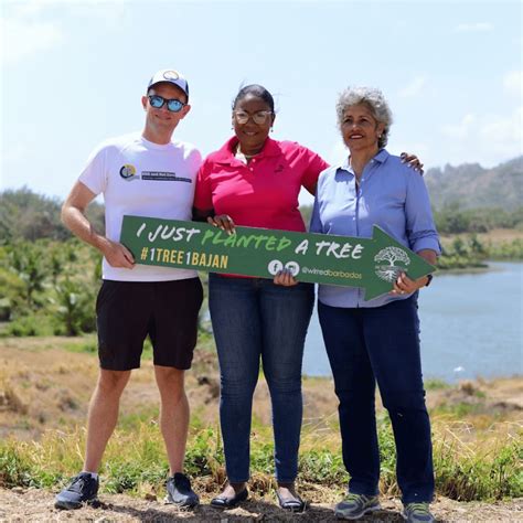 Pwc One Tree For Every Bajan