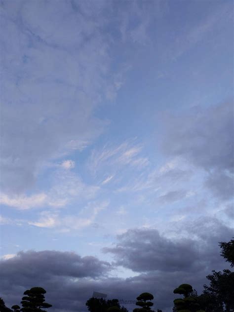 強い風が吹く1日でした 1日通して20 島根県松江市 あおいろ ウェザーニュース