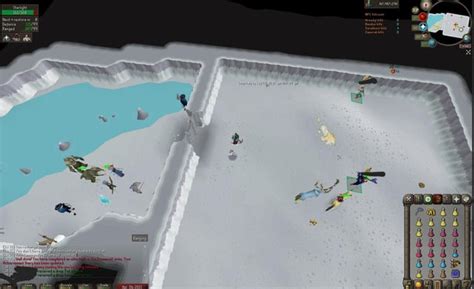 Sorry To The Guy With All The Sara Kills With No Pet R2007scape