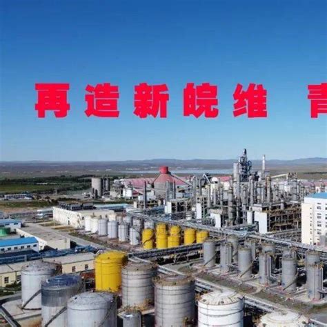 征文丨勇立潮头 乘风破浪青年蒙维人本领