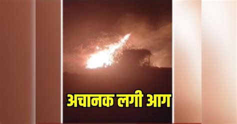 Rajasthan Breaking News Massive Fire Broke Out In Fields Due To Unknown