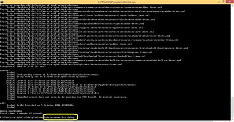 Hybris B2c Installation Javainsimpleway