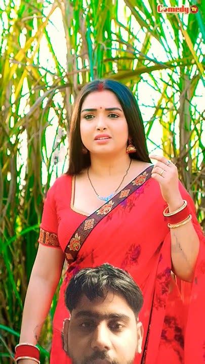 Amarpali Hit Youtube