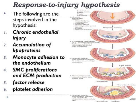 Atheroscleros Ppt Heart And Cardiovascular Diseases Diseases And