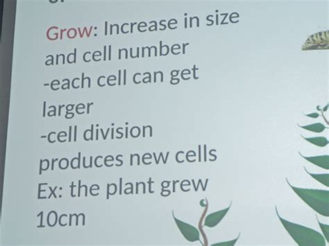 Chapter Flashcards Quizlet