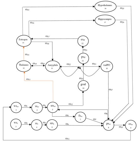 Conceptual Representation Of The Temporal Causal Network Model The Download Scientific Diagram
