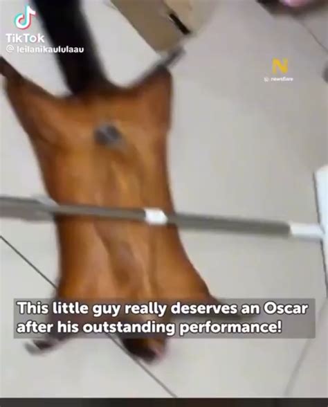 Help Me Step Bro Im Stuck Rshitposting