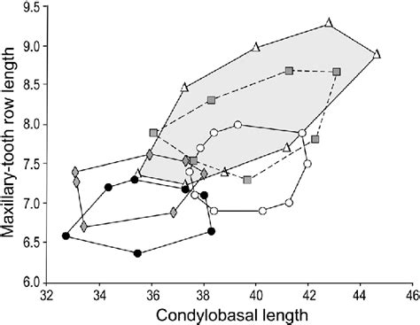 Bivariate Plot Of The Maxillary Tooth Row Length Against Condylobasal