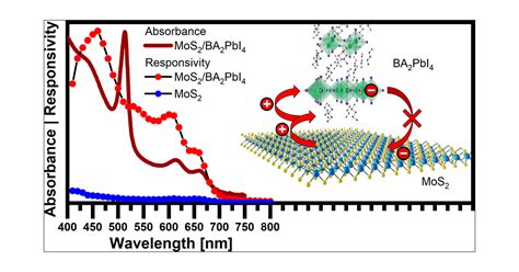 Photogating Through Unidirectional Charge Carrier Funneling In Two