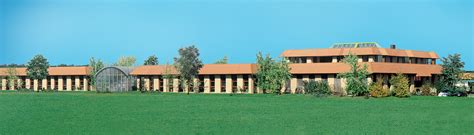 Staiger Über Die Firma Staiger